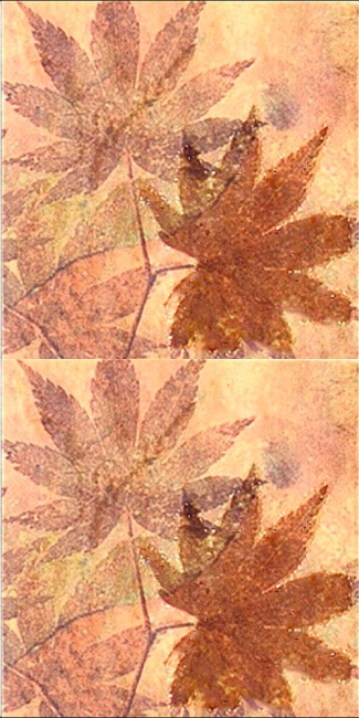 Sticker autocolant faianta model frunza de plop 1:2 | stickere.ro