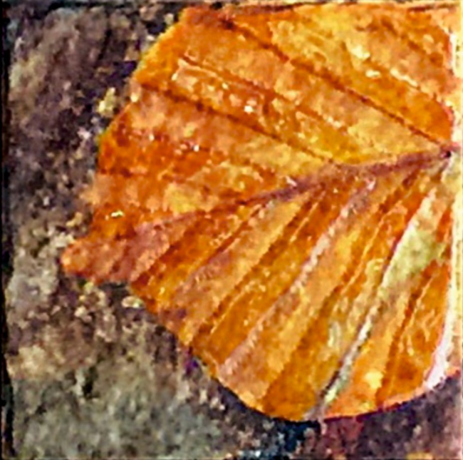 Sticker autocolant faianta model frunza portocalie 1:1 | stickere.ro